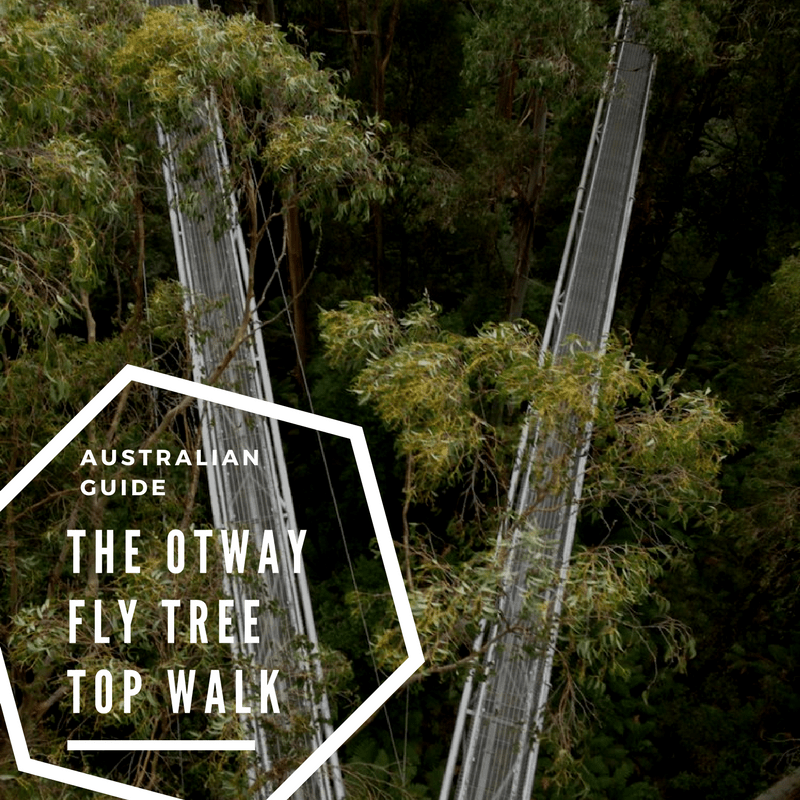 The Otway Fly Tree Top Walk