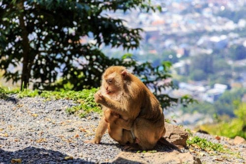 Explore Phuket in 48 Hours: Unforgettable 2-Day Itinerary Guide