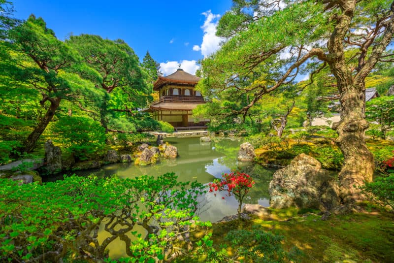 16 Exciting Things to do in Kyoto