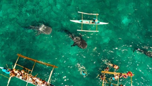 Cebu Travel Guide: History, Waterfalls, and Island Hopping