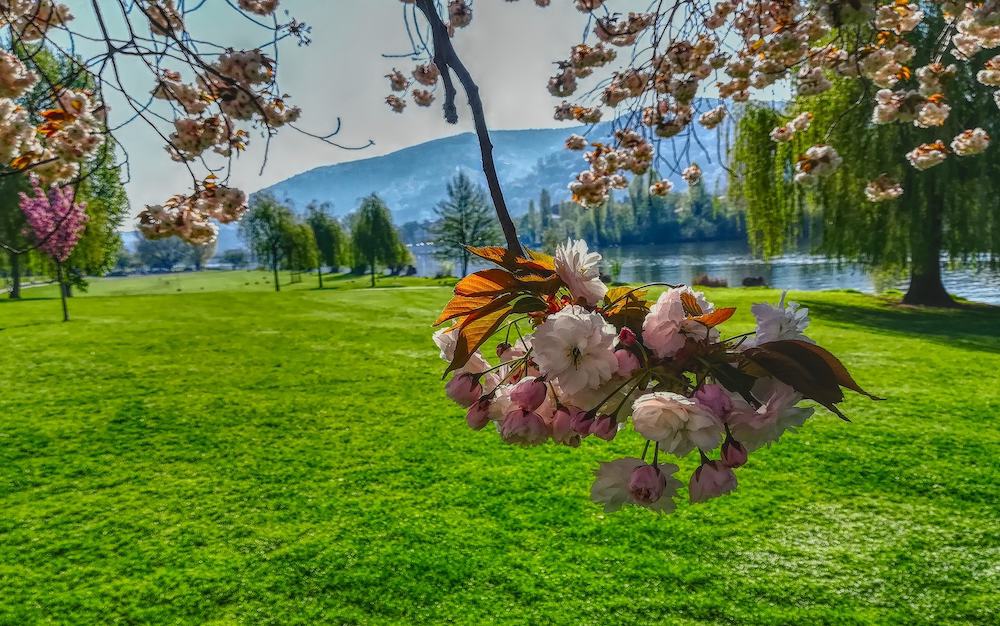 20 Things To Do in Heidelberg - That People Actually Do!