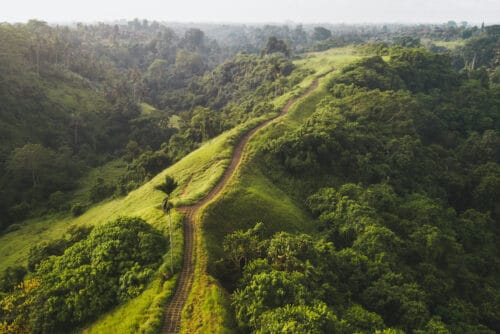 The Only Honeymoon Guide to Bali You’ll Ever Need!
