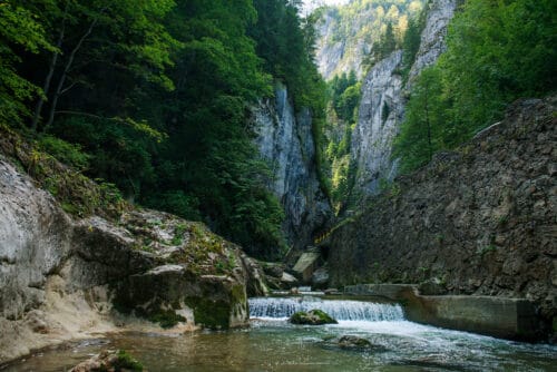 Ultimate Travel Guide to Brasov