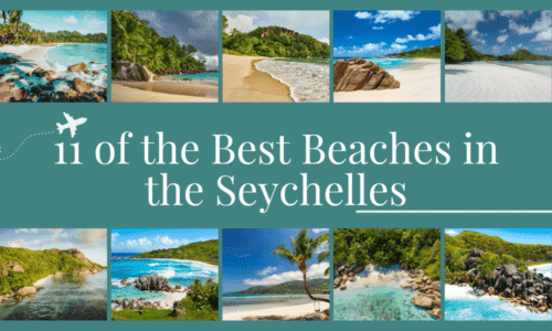 Top 11 Beaches to Visit in Seychelles
