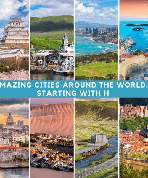 ABC Cities Series - Travelling King