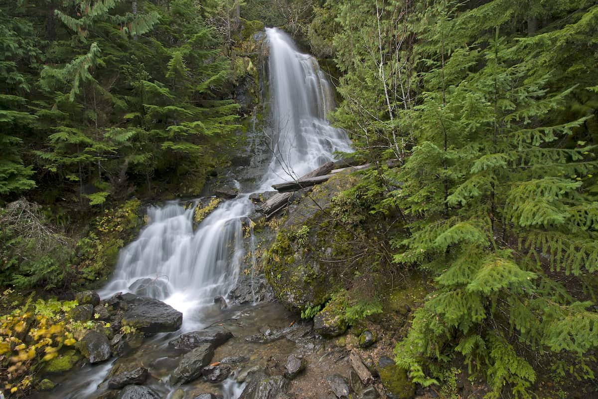 48 hours in Seattle - A 2 day Itinerary