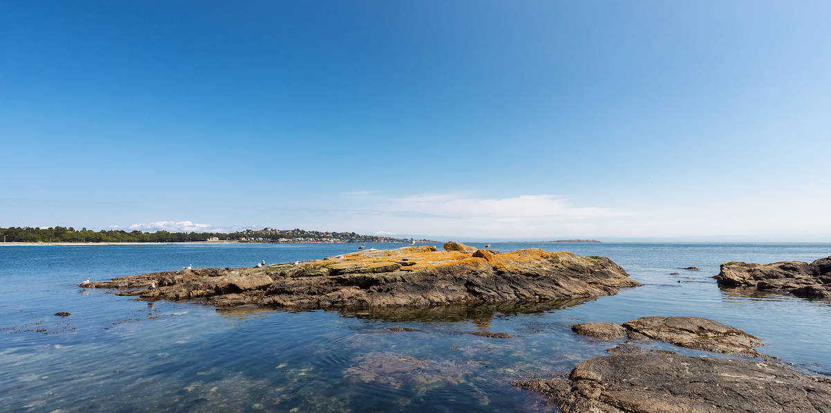 48 Hours in Victoria BC - 2 Day Itinerary