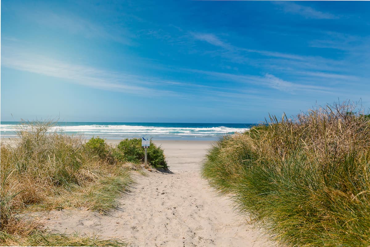 8 Areas To Stay in Dunedin in 2025 | Where To Stay in Dunedin