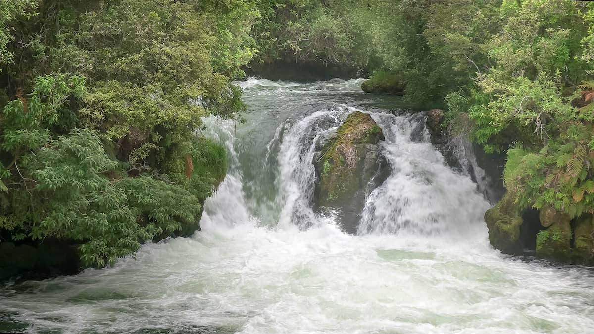 11 Areas To Stay in Rotorua in 2026 | Where To Stay in Rotorua