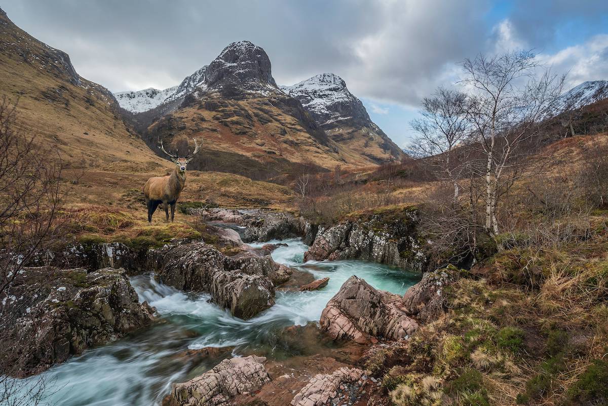 Scottish Highlands: The Best Highland Tours from Edinburgh in 2026
