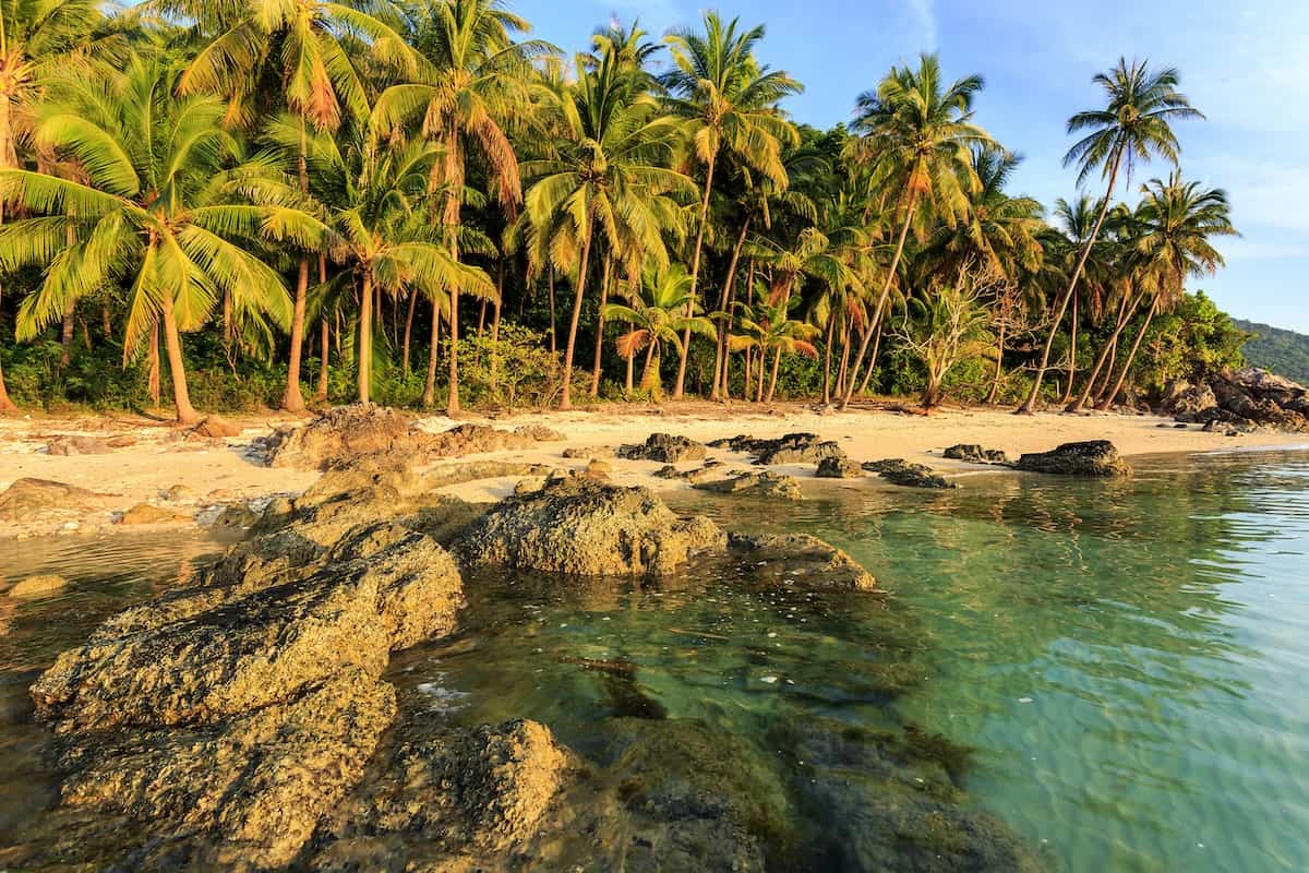 Koh Samui Travel Guide | Your Paradise Awaits