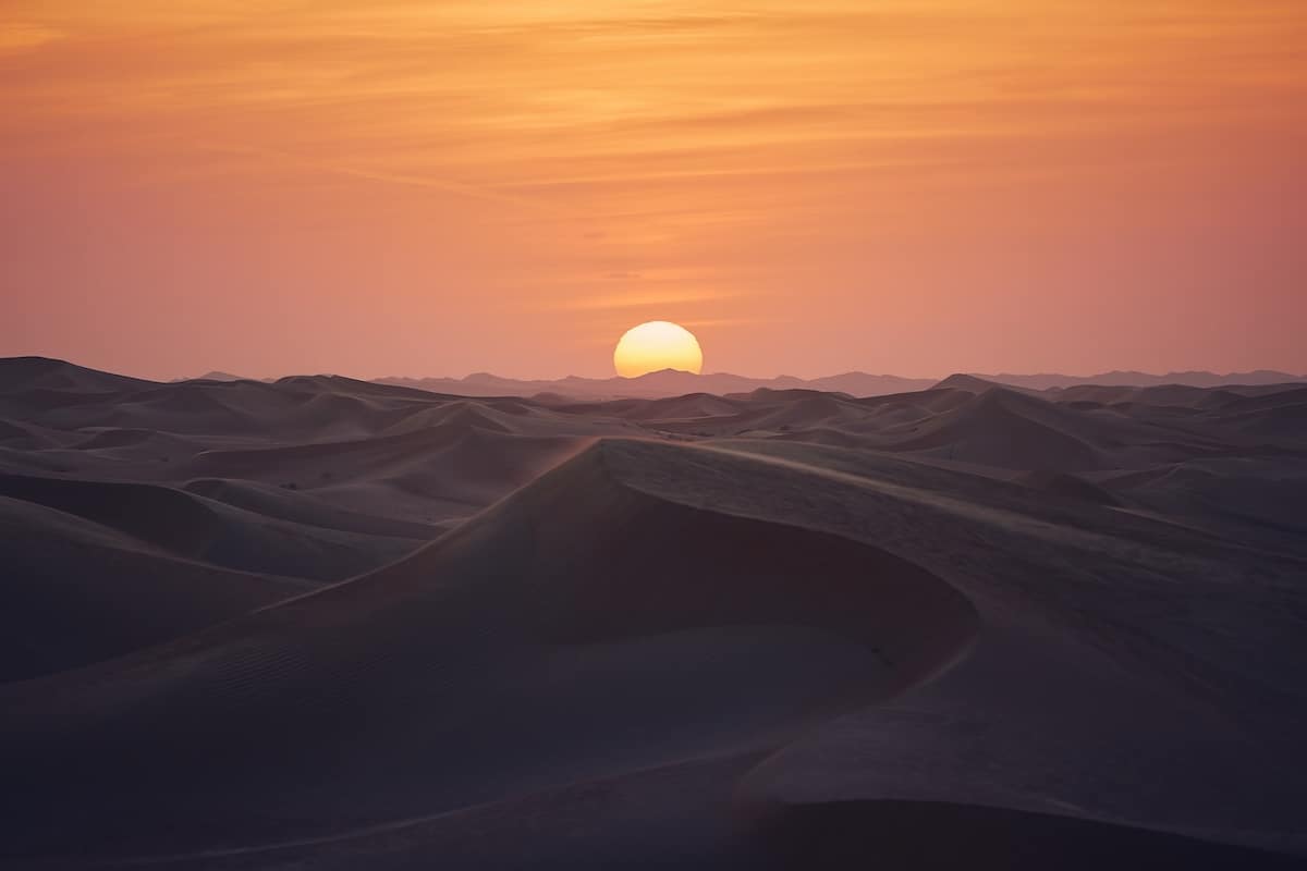 10 of the Best Desert Safaris in Abu Dhabi for 2026