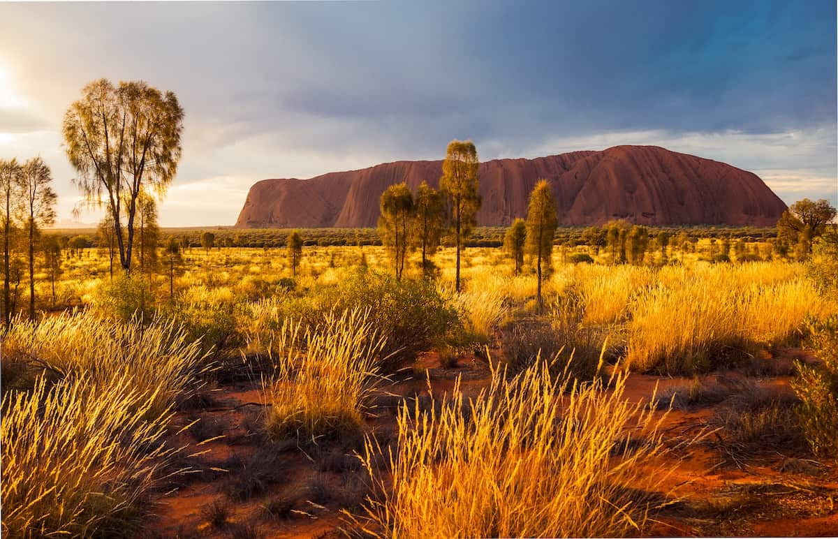 Discover Uluru from Above: The Best Scenic Flight Tours in 2026
