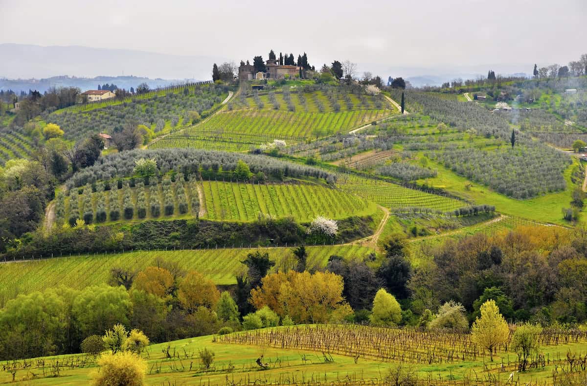 12 of the Best Tuscany Wine Tours from Florence for 2026