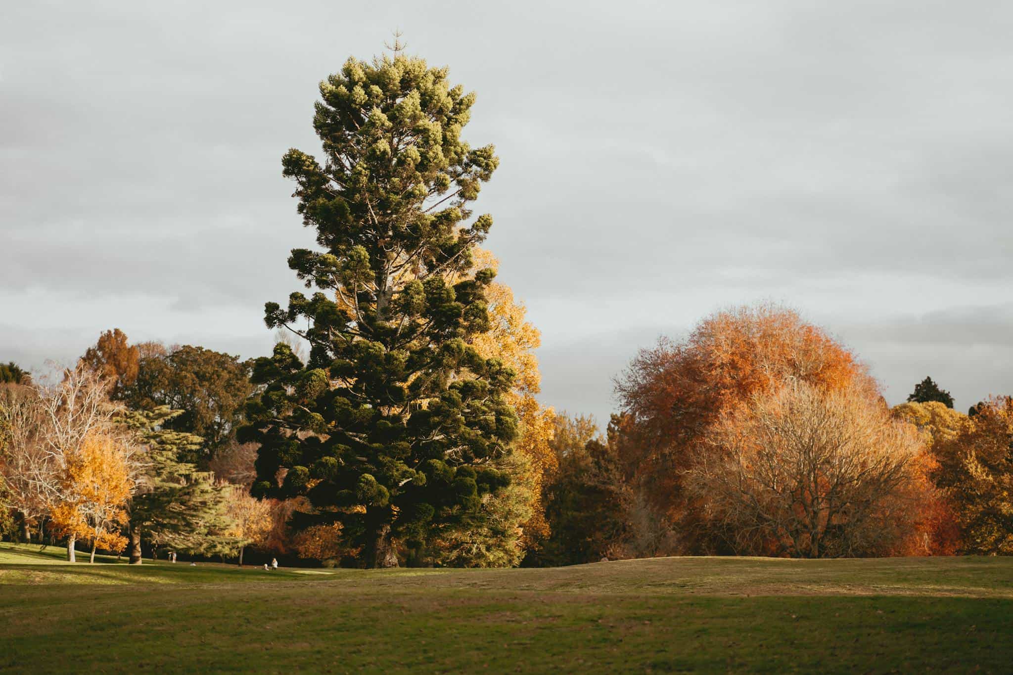 Hamilton Travel Guide: Gardens, River Walks, and Local Highlights